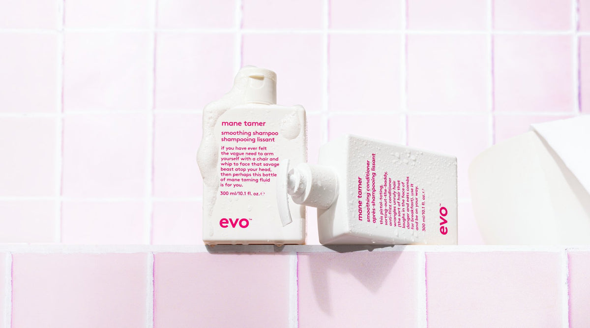 Best Products For Frizzy Hair - Evo US